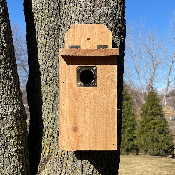 Bird House Predator Guard - Etsy