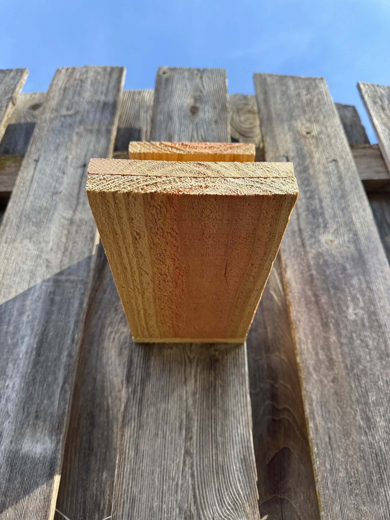 Cedar Bird Nesting Platform Shelter Cedar Bird Nesting Box Dove Nesting ...