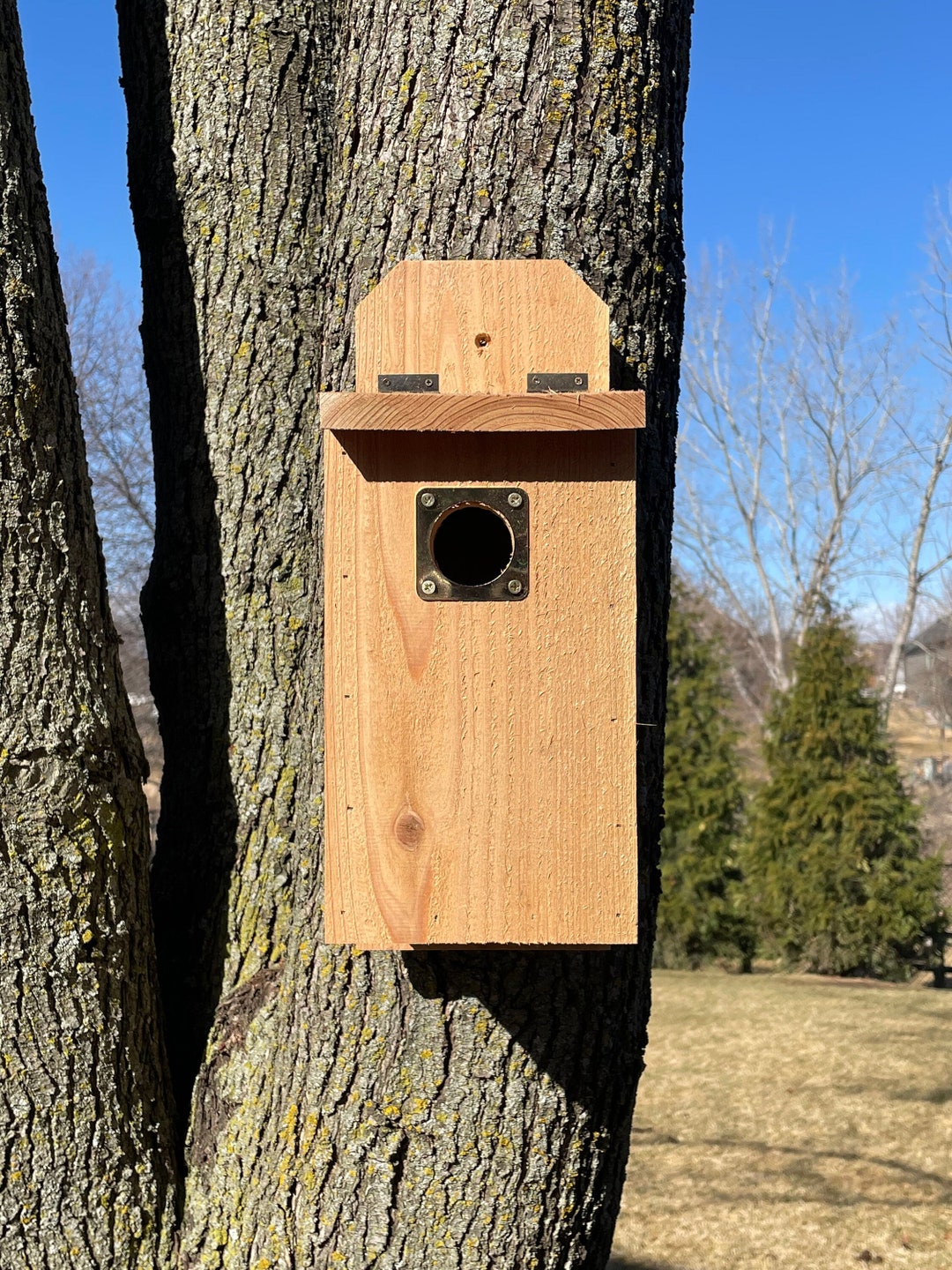 Cedar Bluebird House • Handcrafted Weather Resistant Bird Nesting Box ...