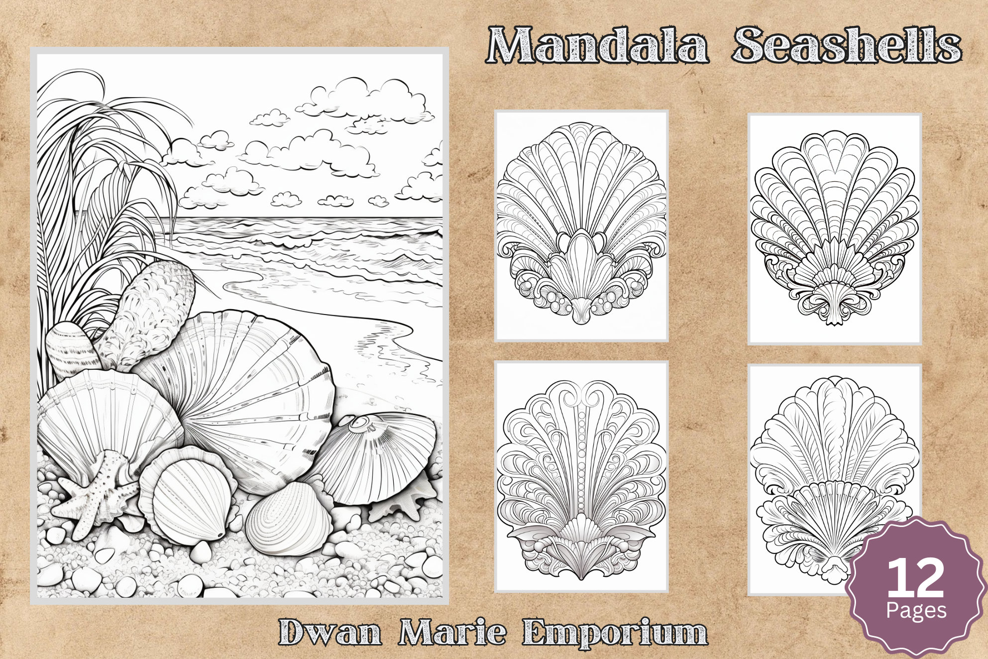 Mandala Seashells Coloring Pages: Adult Coloring Book by Dwan - Etsy