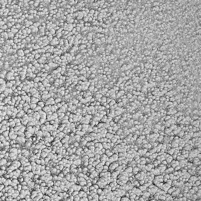 Ryan Irish Coat of Arms Crest Plaque - Etsy