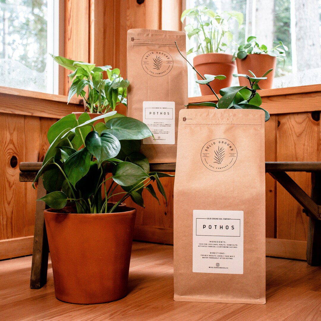 Pothos Potting Mix - Etsy