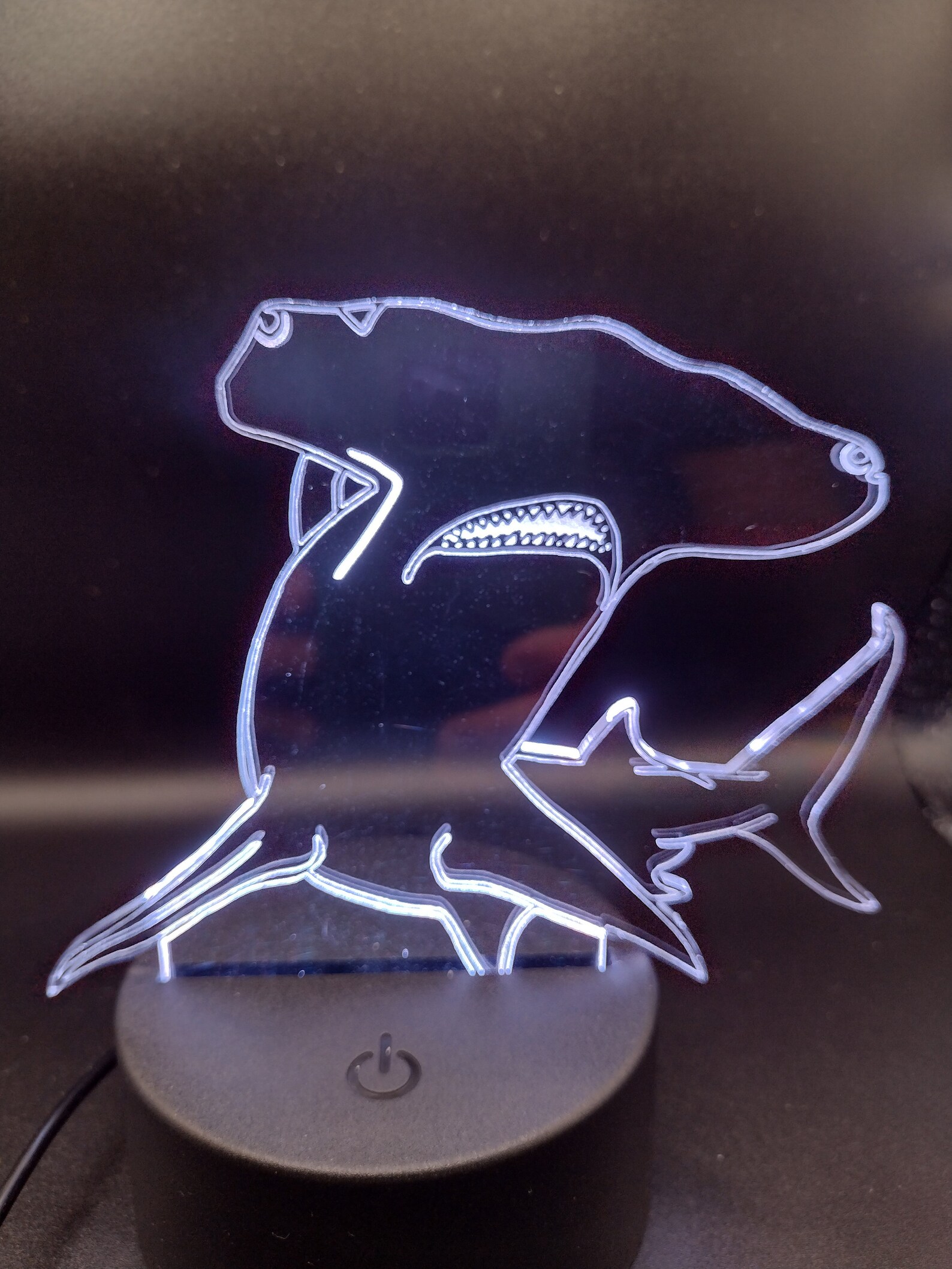 Hammerhead Acrylic Sign With LED Light Base - Etsy