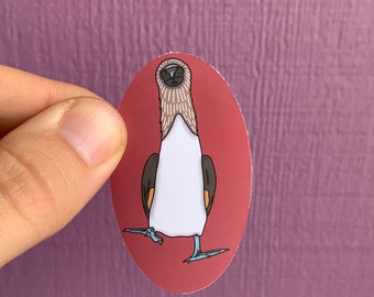 Blue Footed Booby Sticker - Etsy