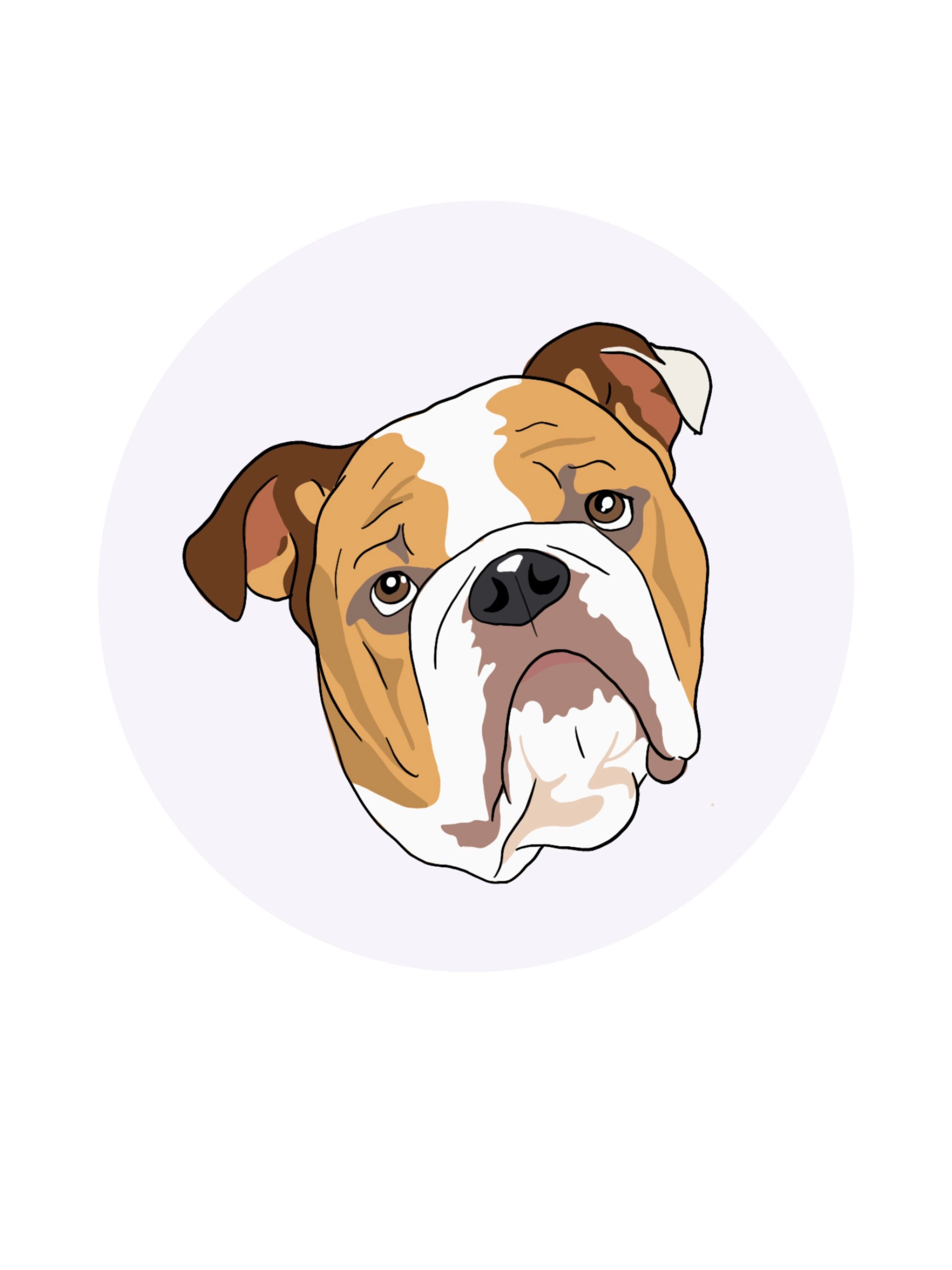 Custom Dog Social Media Profile Photo Personalised Dog - Etsy