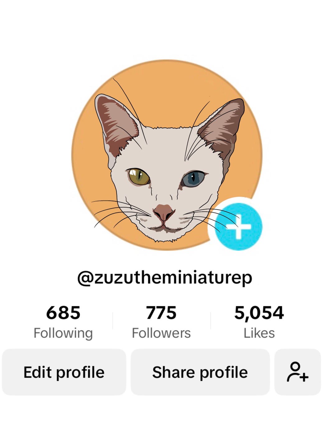 Custom Cat Social Media Profile Photo, Personalised Cat Instagram ...