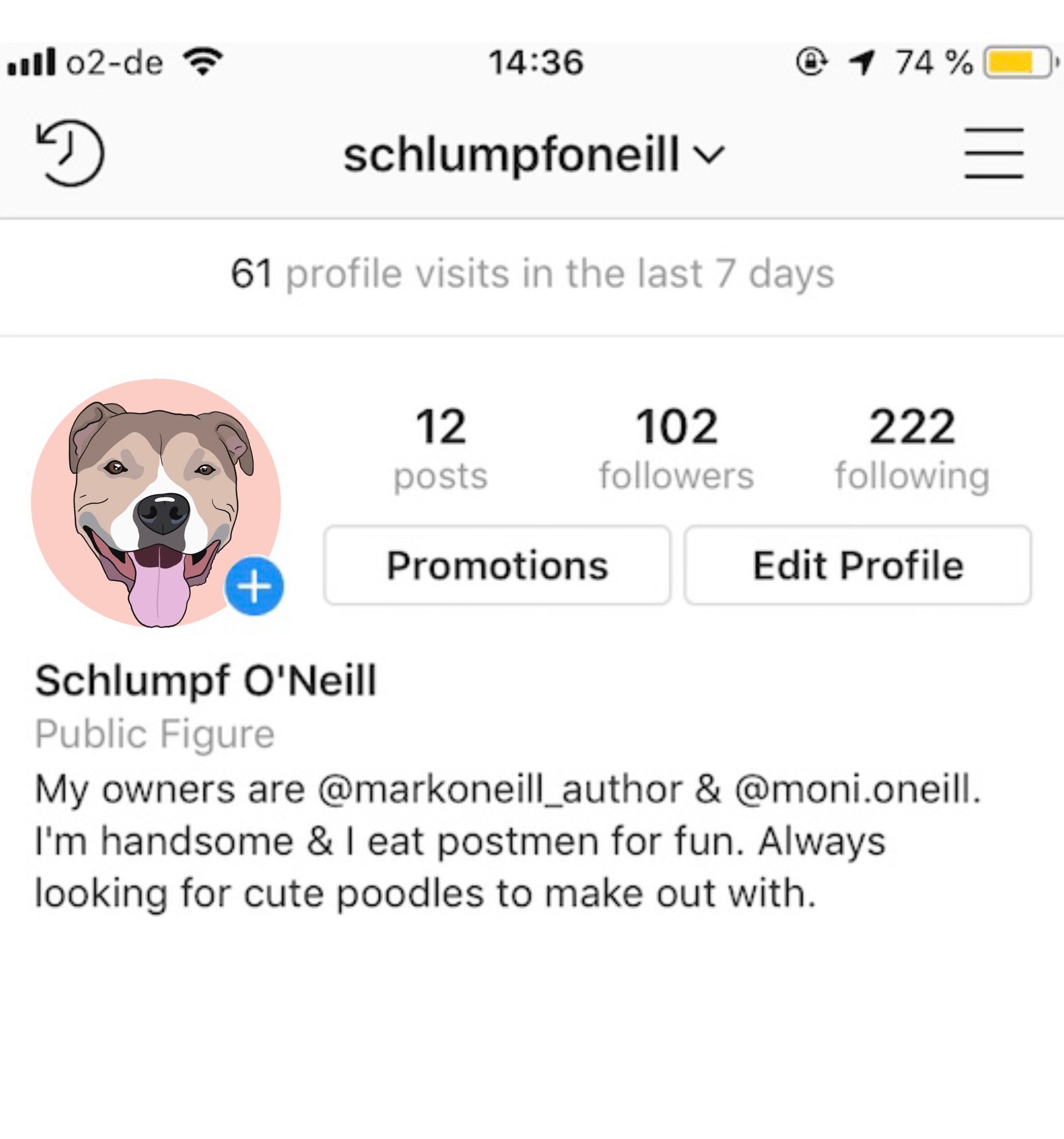 Custom Dog Social Media Profile Photo, Personalised Dog Instagram ...