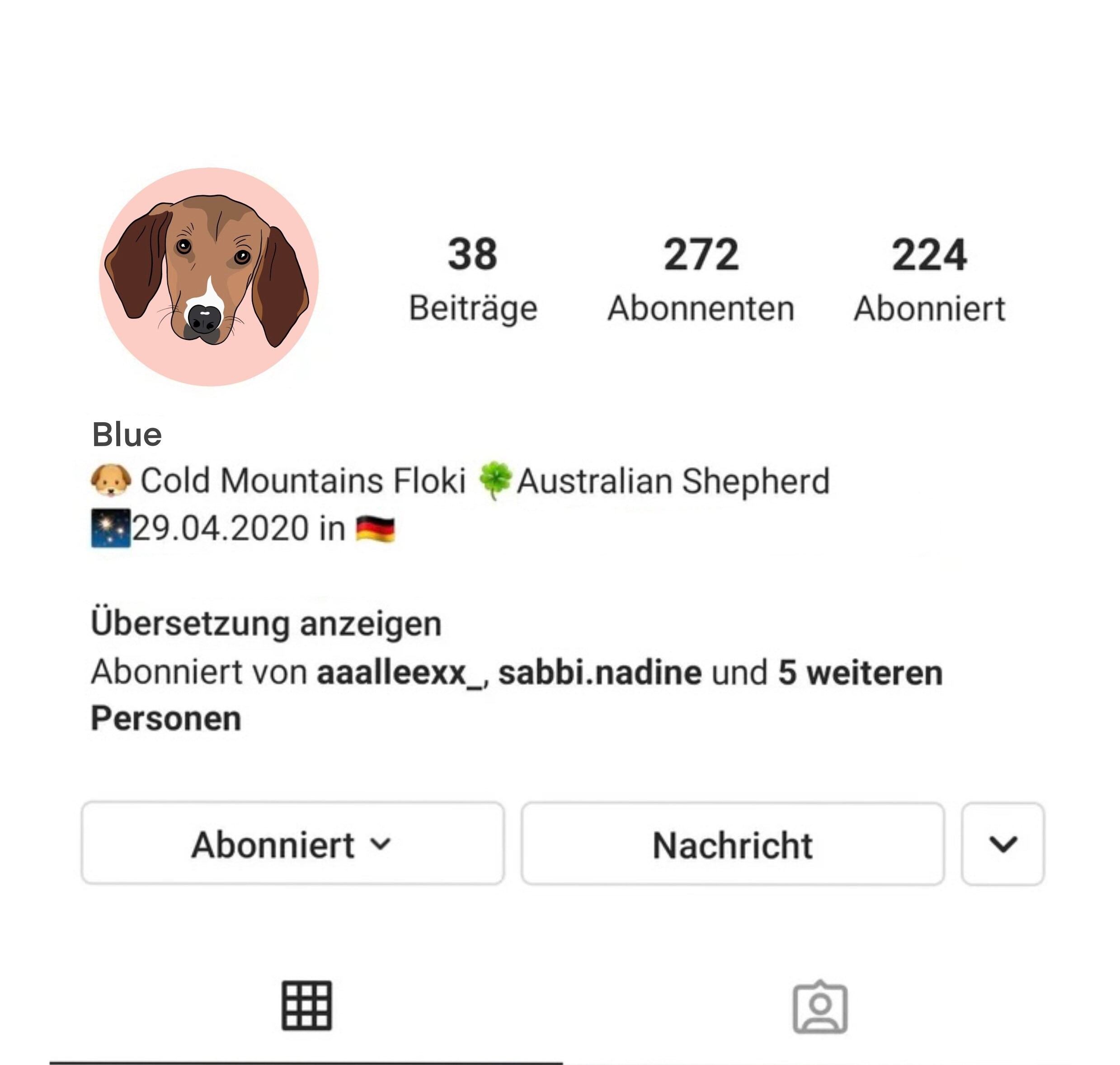 Custom Dog Social Media Profile Photo, Personalised Dog Instagram ...