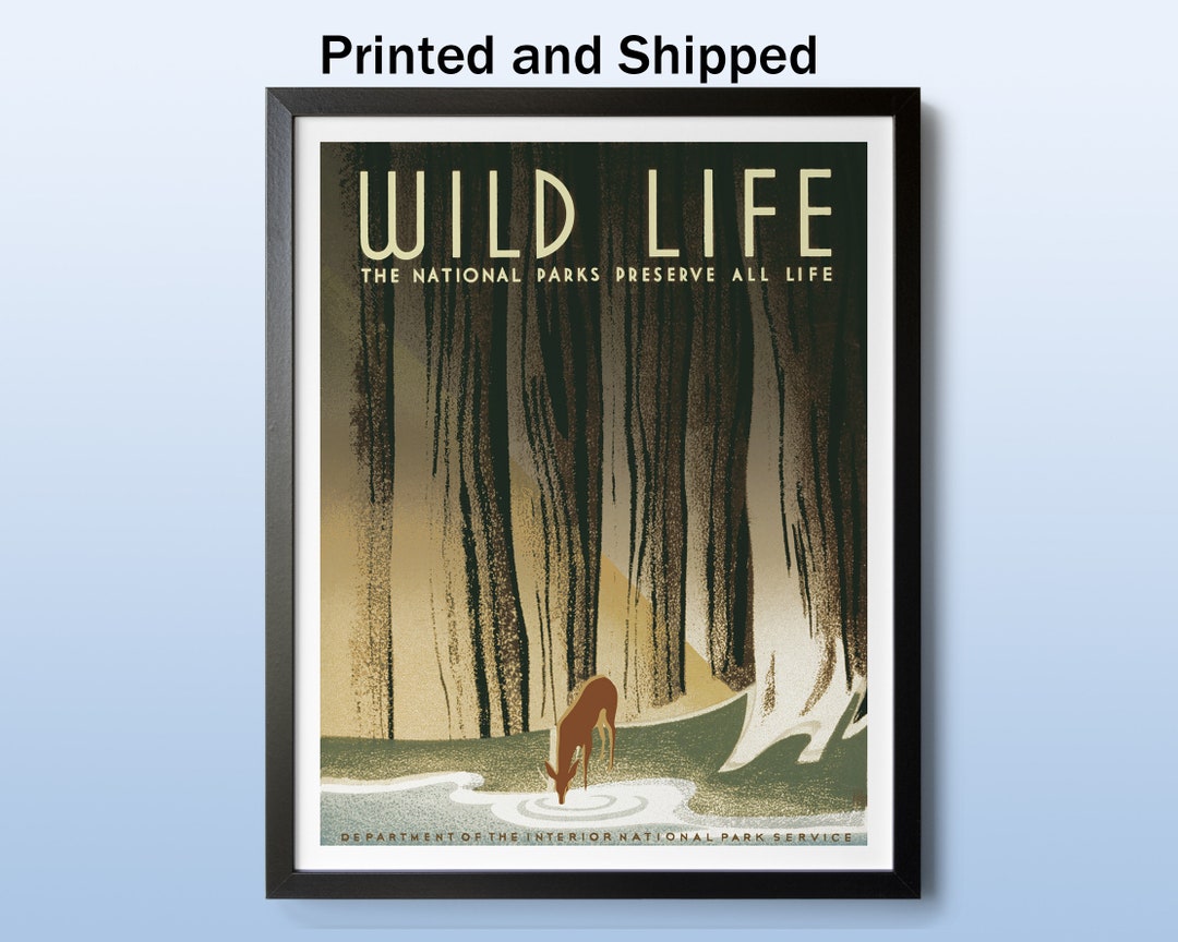 Wilderness Art, US National Parks, WPA Poster, Yellow Stone Art ...