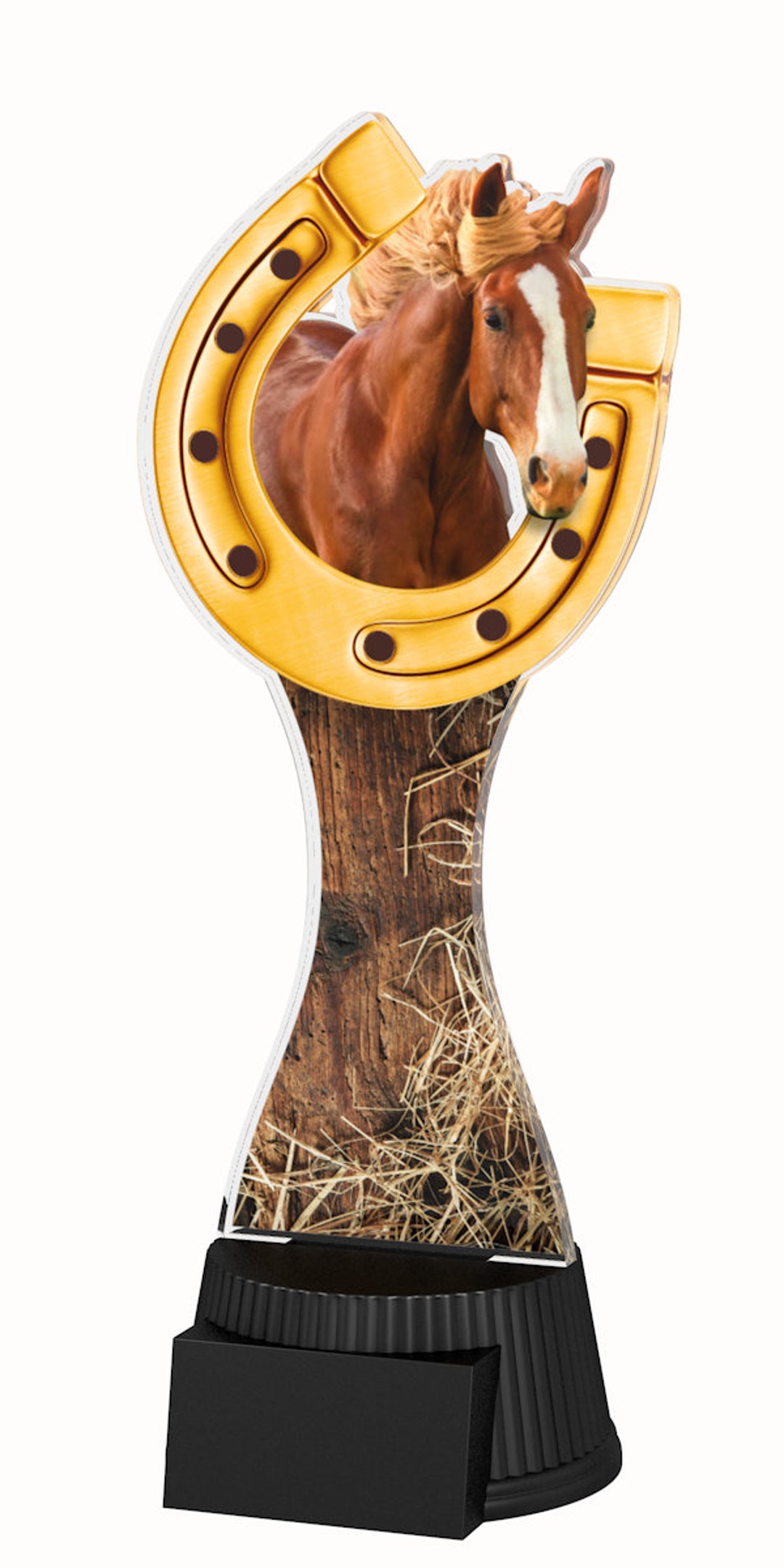Trophy Monster Equestrian, Horse Shoe Full Color Double Printed 1/8 ...