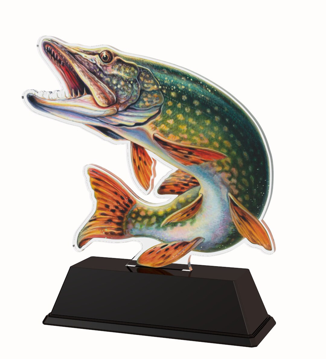 Northern Pike Trophy, Acrylic Fish Desk Decor, Fishing Gift | Bulk ...