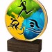 Real Wood Triathlon Trophy | and Delivery | | Bulk Discounts Available ...