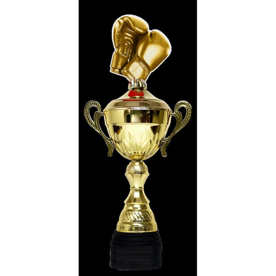 Trophymonster Luxury Large Gold Metal Boxing Trophy Cup 3 Sizes - Etsy