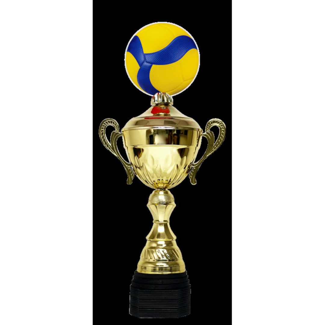 Trophymonster Luxury Large Gold Metal Volleyball Trophy Cup 3 Sizes - Etsy