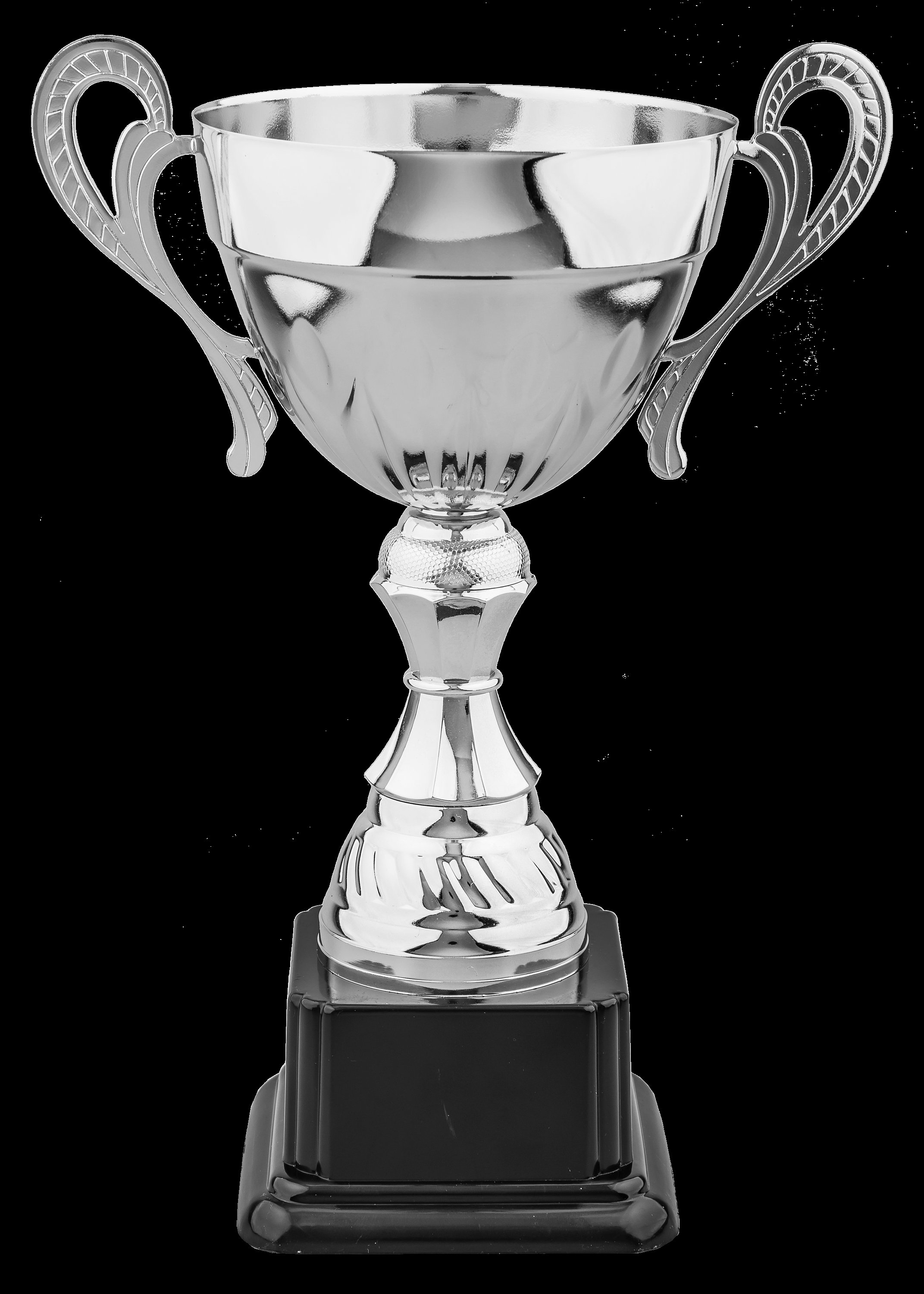 Silver Metal Trophy