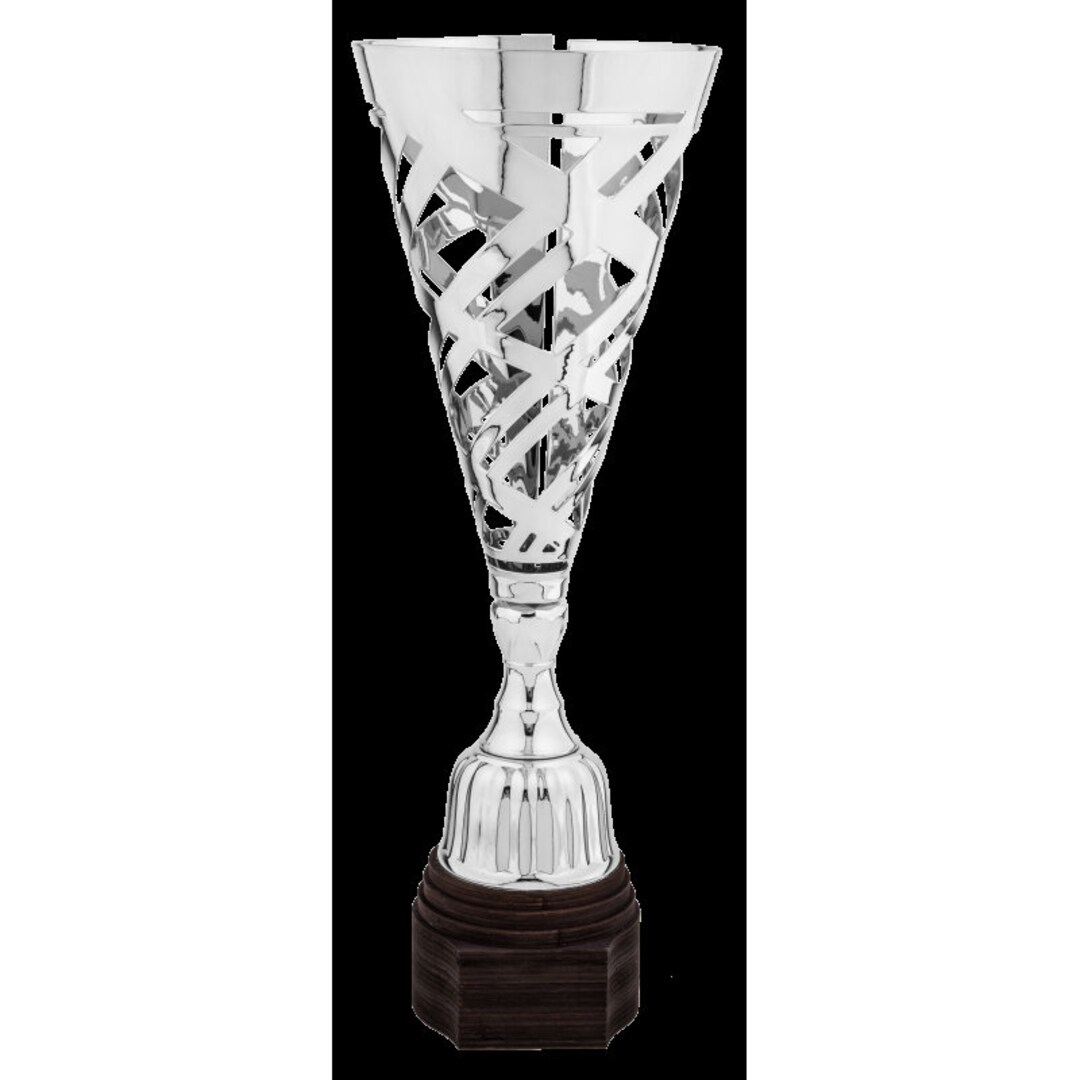 Trophymonster Silver Laser Cup 3 Sizes - Etsy