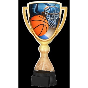 Trophy Monster Basketball Acrylic Trophy Award | for Club, School ...
