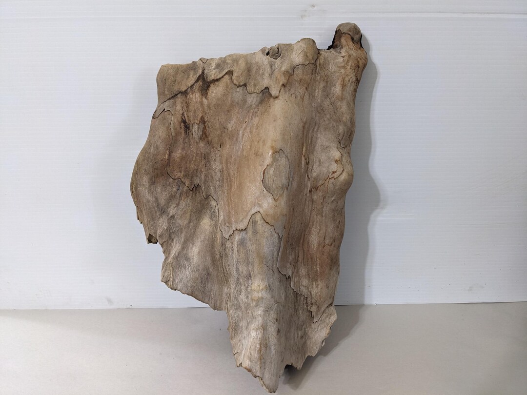 Extra Large Cypress Driftwood – Natural Decor, Aquarium Wood, Rustic ...