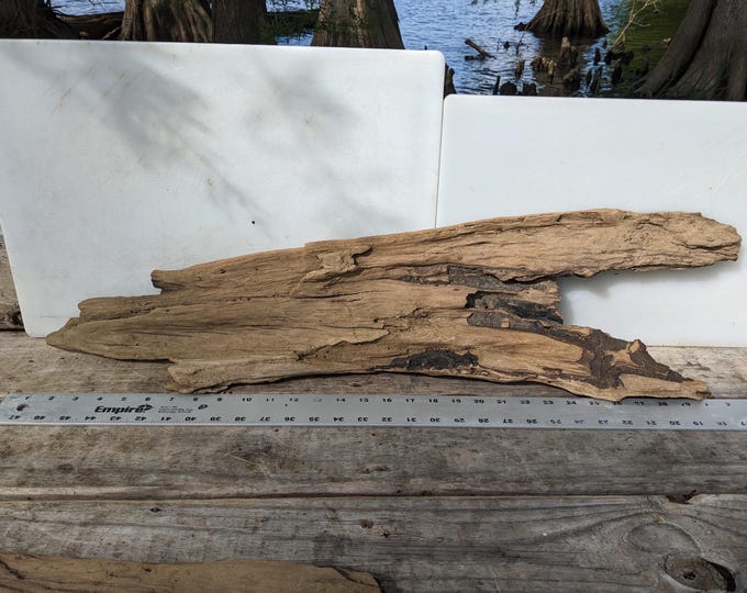 Extra Large Cypress Driftwood – Natural Decor, Aquarium Wood, Rustic ...