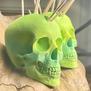 Punk Skull Toothpick Holders 3D Printed Gothic Decor Set of 2 - Etsy