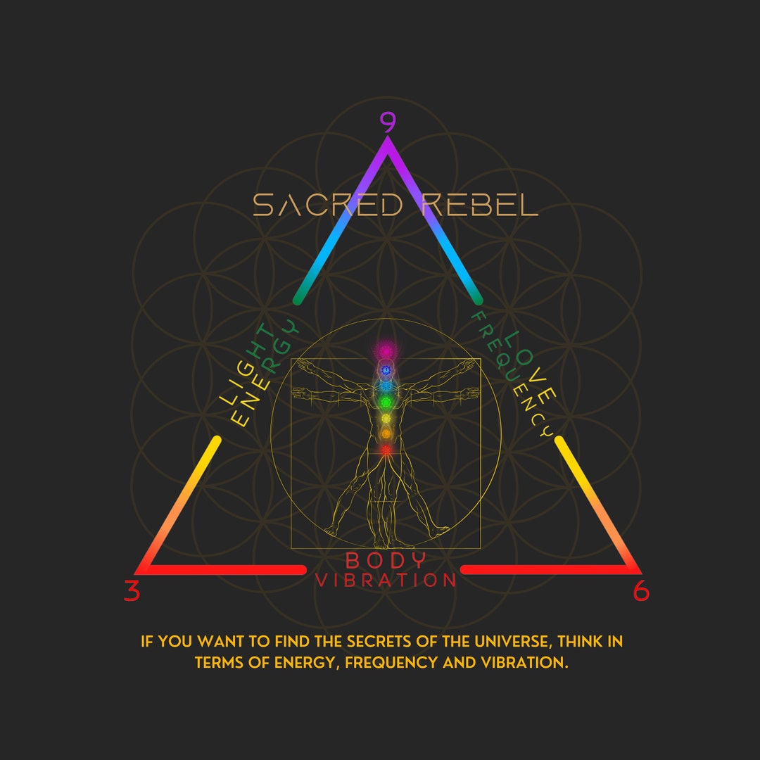 Vitruvian Man Sacred Geometry Hoodie 369 Nikola Tesla Quote Hoodie ...