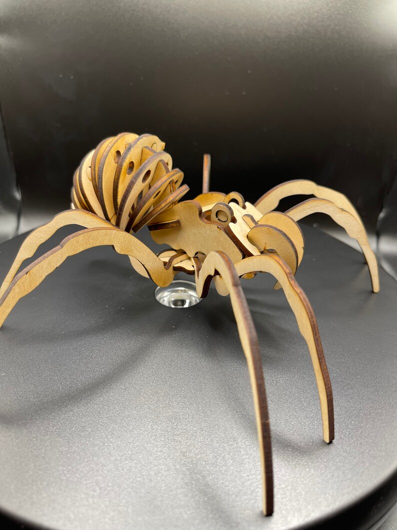 3D Spider Laser Cut Puzzle or Model | Etsy