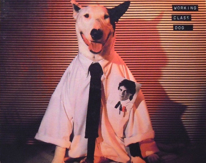 Rick Springfield Working Class Dog Vinyl Record Rock - Etsy