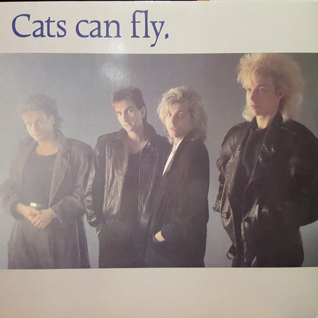 Cats Can Fly – Cats Can Fly Vinyl Record Album LP Excellent Plus POP - Etsy