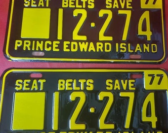 Prince License Plate Frame - Etsy