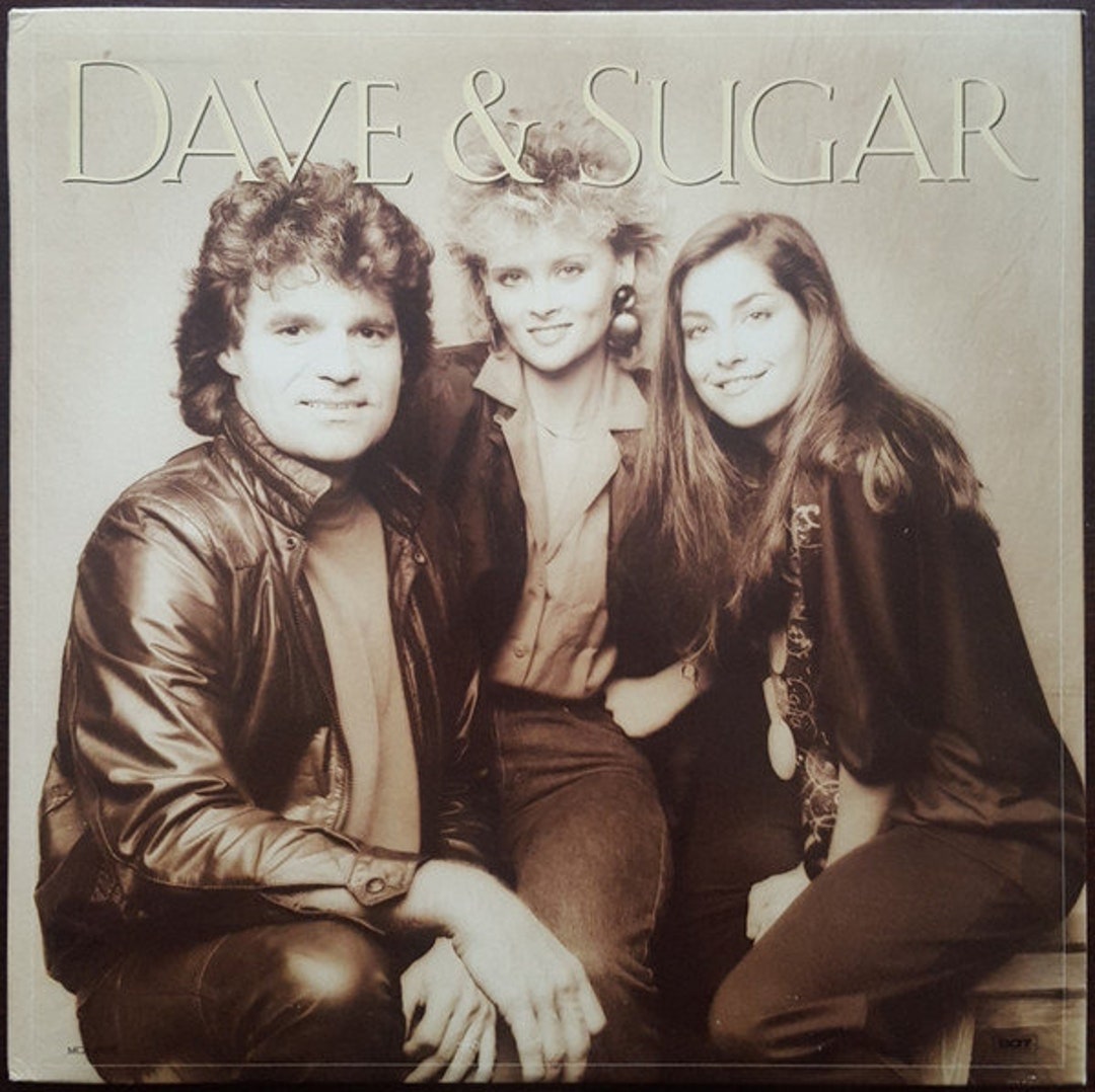 Dave and Sugar – Dave & Sugar Album Vinyl Record LP - Etsy