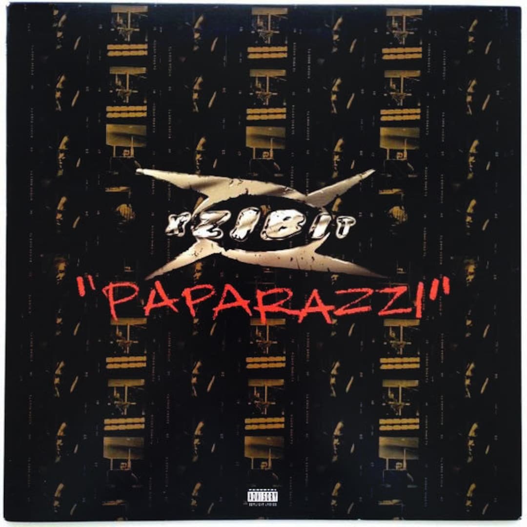 Xzibit – Paparazzi Album Vinyl Record LP - Etsy