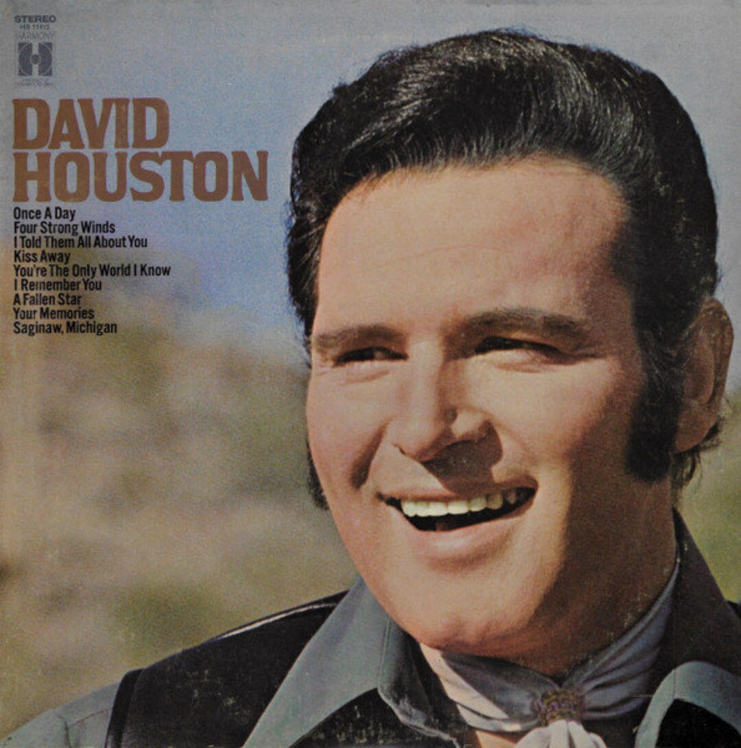 David Houston – David Houston Vinyl Record Album LP - Etsy