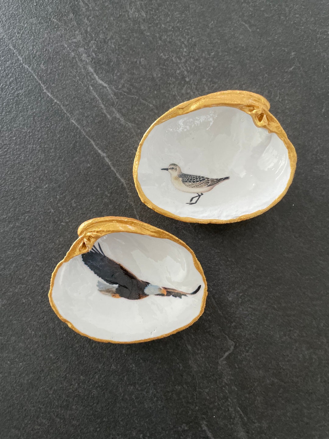Bird Collection Shore Birds Nestled Into a Clam - Etsy