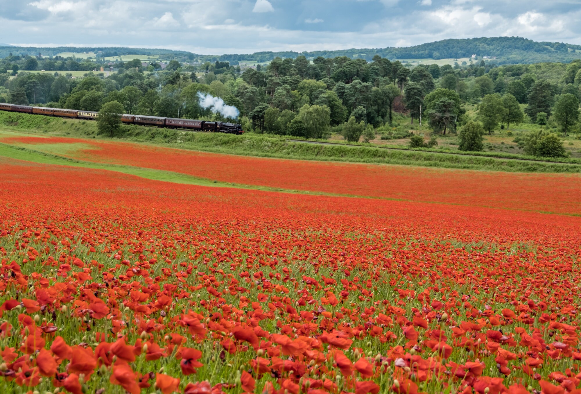 POPPY EXPRESS II Steam Train & Poppy Field Bewdley - Etsy UK
