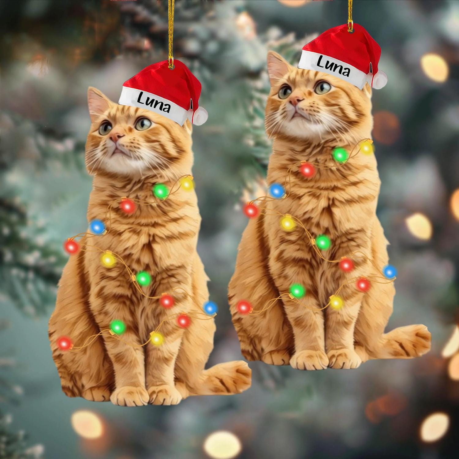 Orange Cat Christmas Ornament 2025 | Personalized Pet Photo Gift ...
