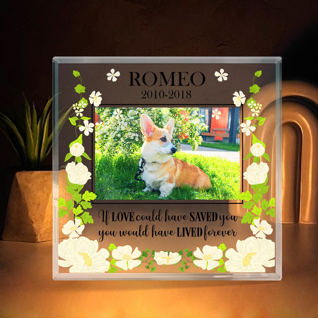Personalized Dog Memorial Acrylic Photo Plaque You Were My Favorite ...