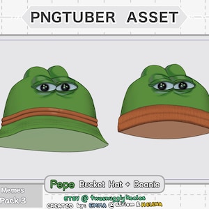 Pngtuber Asset | Memes [pack 3] - Pepe Bucket Hat and Beanie - Etsy