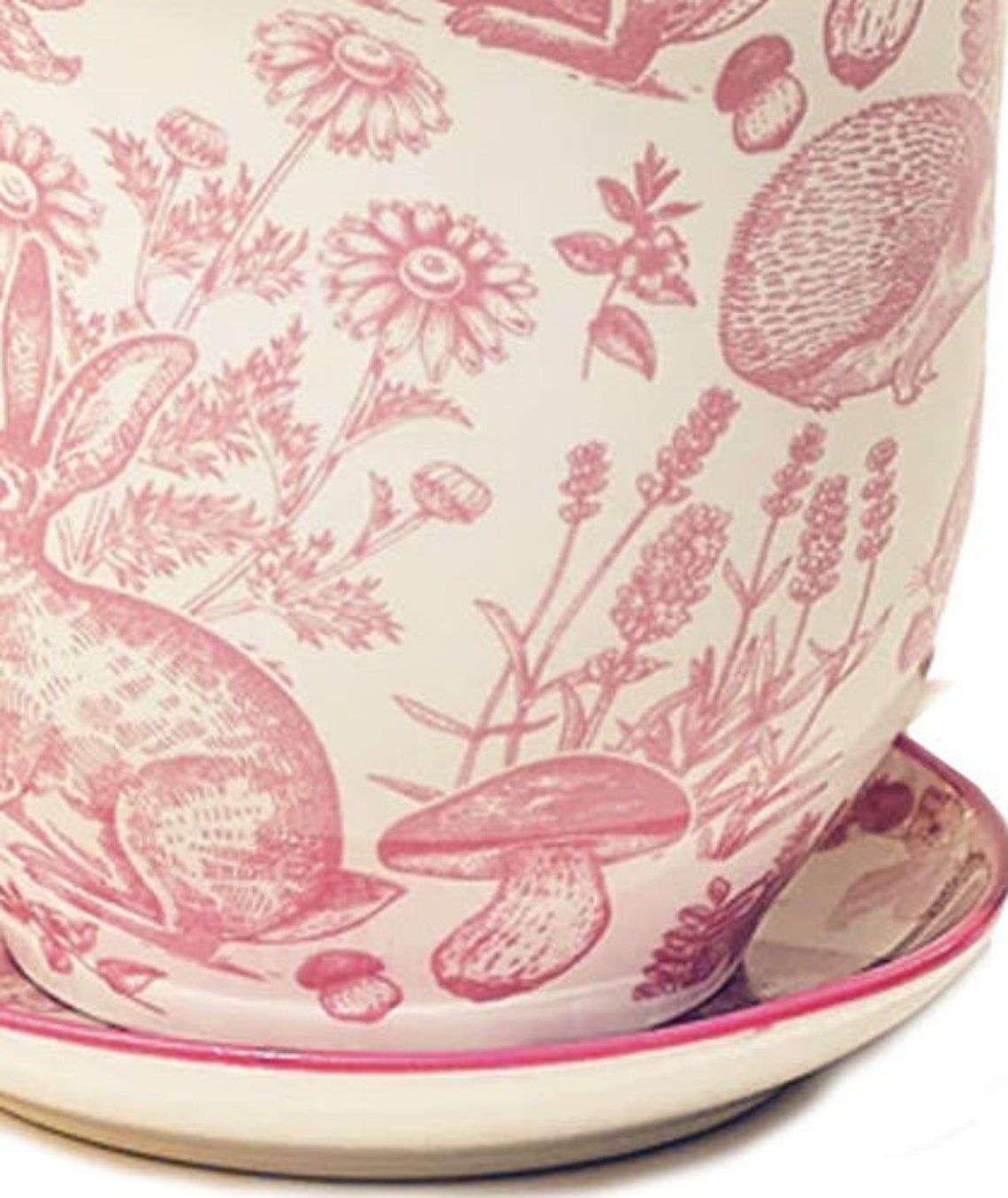 Tea Cup Planter With Live Plant Set - Etsy