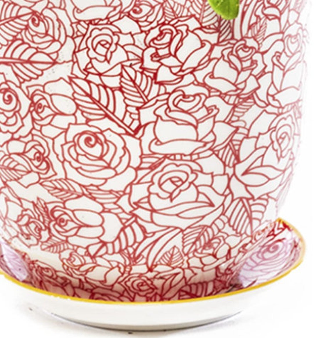 Tea Cup Planter With Live Plant Set - Etsy