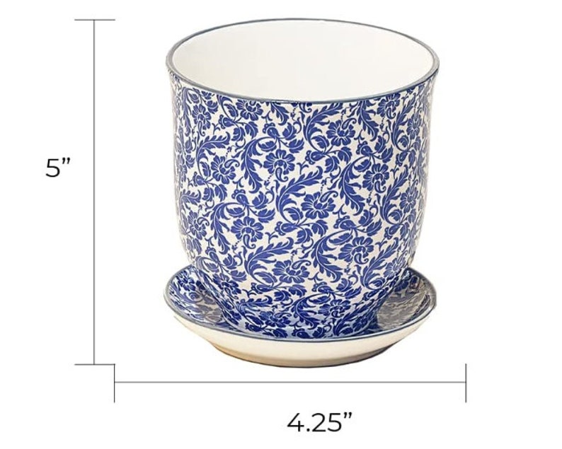 Tea Cup Planter With Live Plant Set - Etsy