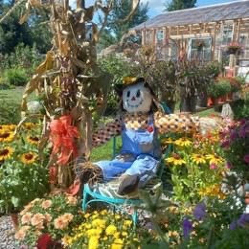 Scarecrow Fall Porch Decor - Etsy