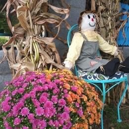 Scarecrow Fall Porch Decor - Etsy