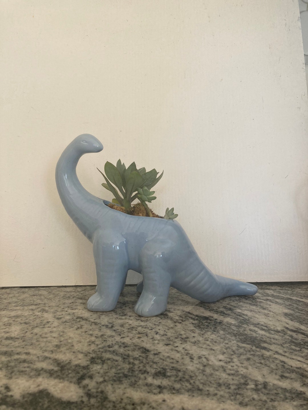 Dinosaur Succulent Planter Mothers Day Gift - Office Desk -teacher Gift ...