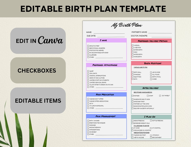 Editable Birth Plan Template, Printable Birthing Plan, Labour and ...