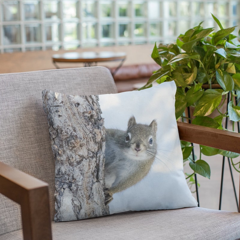 Squirrel Pillow - Etsy