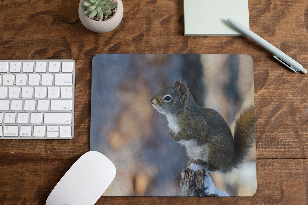 Animal Mouse Pad Cute Desk Decor Squirrel Art Squirrel Mouse Mat Office ...