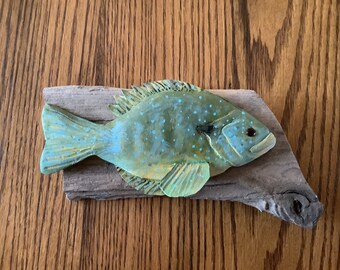 Brand New Bluegill Fish Mounts - Etsy