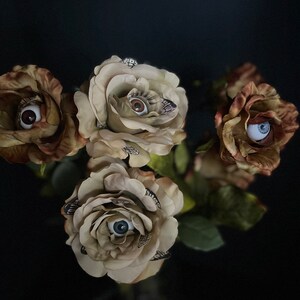 6 Long Stem Seeing Eye Roses Botany Oddities Curiousities Eyeball ...
