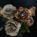 6 Long Stem Seeing Eye Roses Botany Oddities Curiousities Eyeball ...
