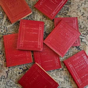 Antique Red Little Leather Library Books | Bibliophile | Book Lovers ...